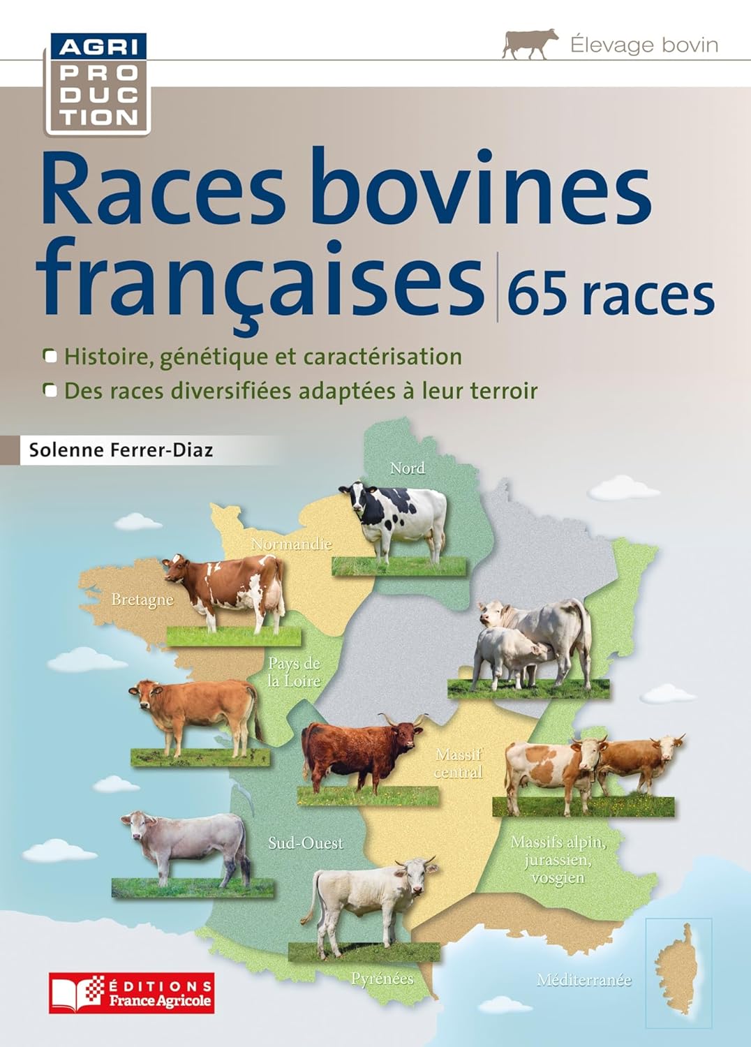 Amazon.com: RACES BOVINES FRANCAISES: 65 races: 9782855578880: Ferrer ...