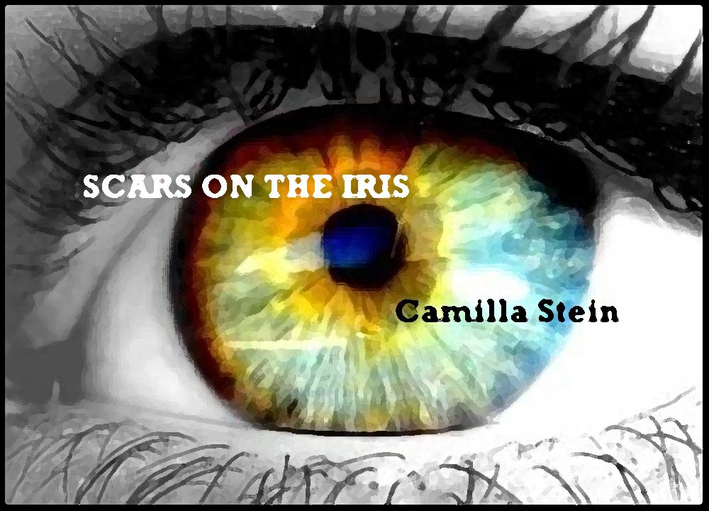 Amazon.com: Scars On The Iris eBook : Stein, Camilla: Books