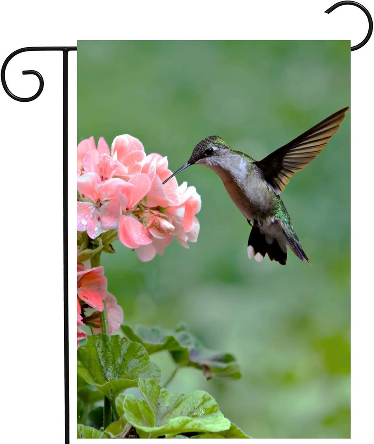 Amazon.com : ShineSnow Hummingbirds Birds Tropical Spring Summer Pink ...