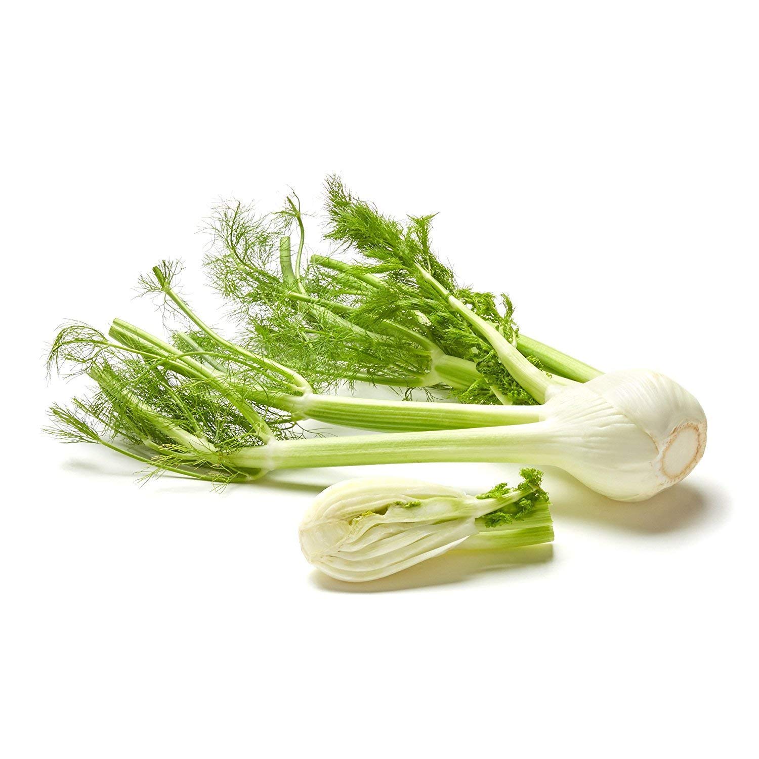Amazon.com: Anise Fennel Leaf Organic, 1 Bunch : Grocery & Gourmet Food