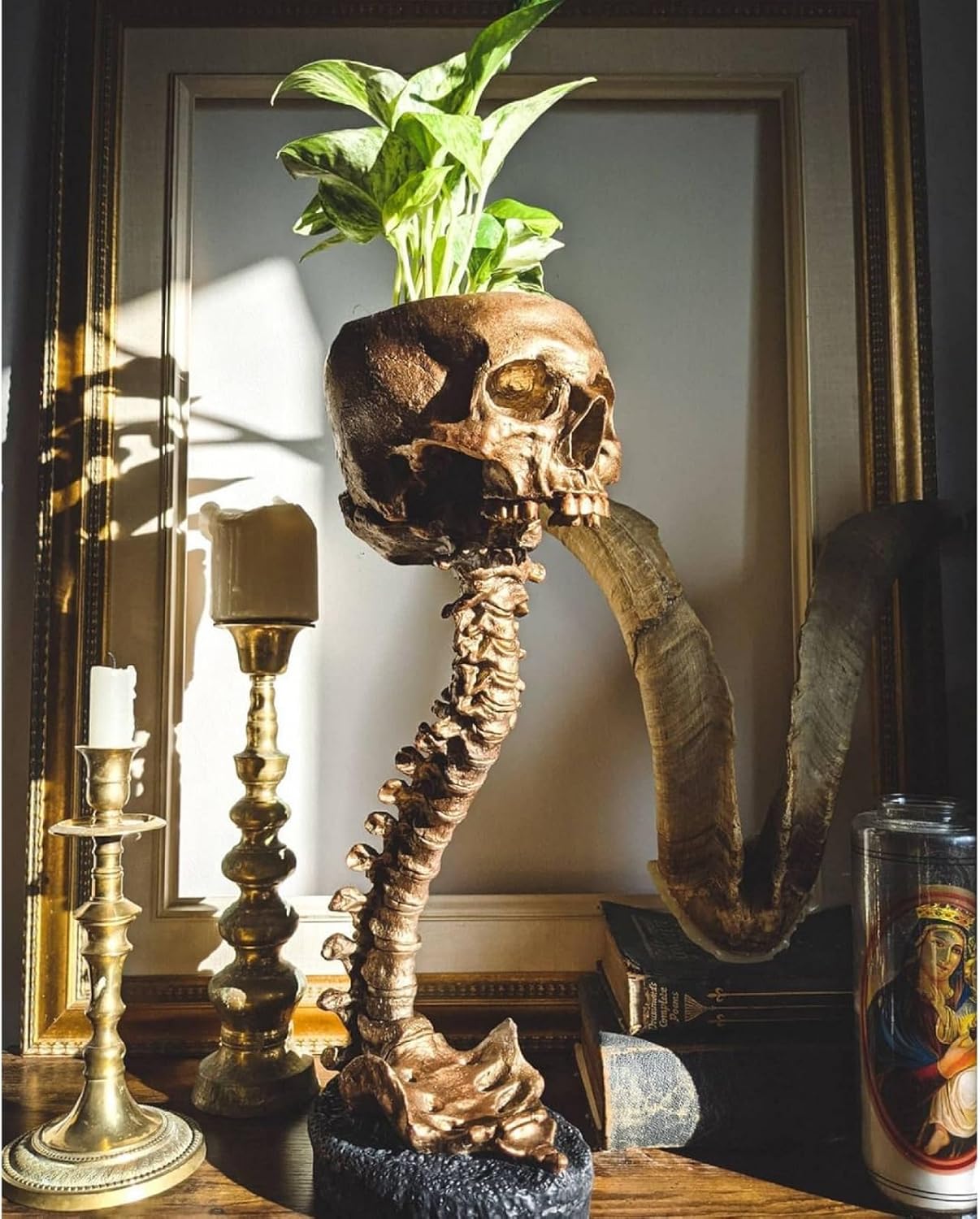Amazon.com : abocyn Skull Planter & Spine Stand, Resin Skeleton Flower ...