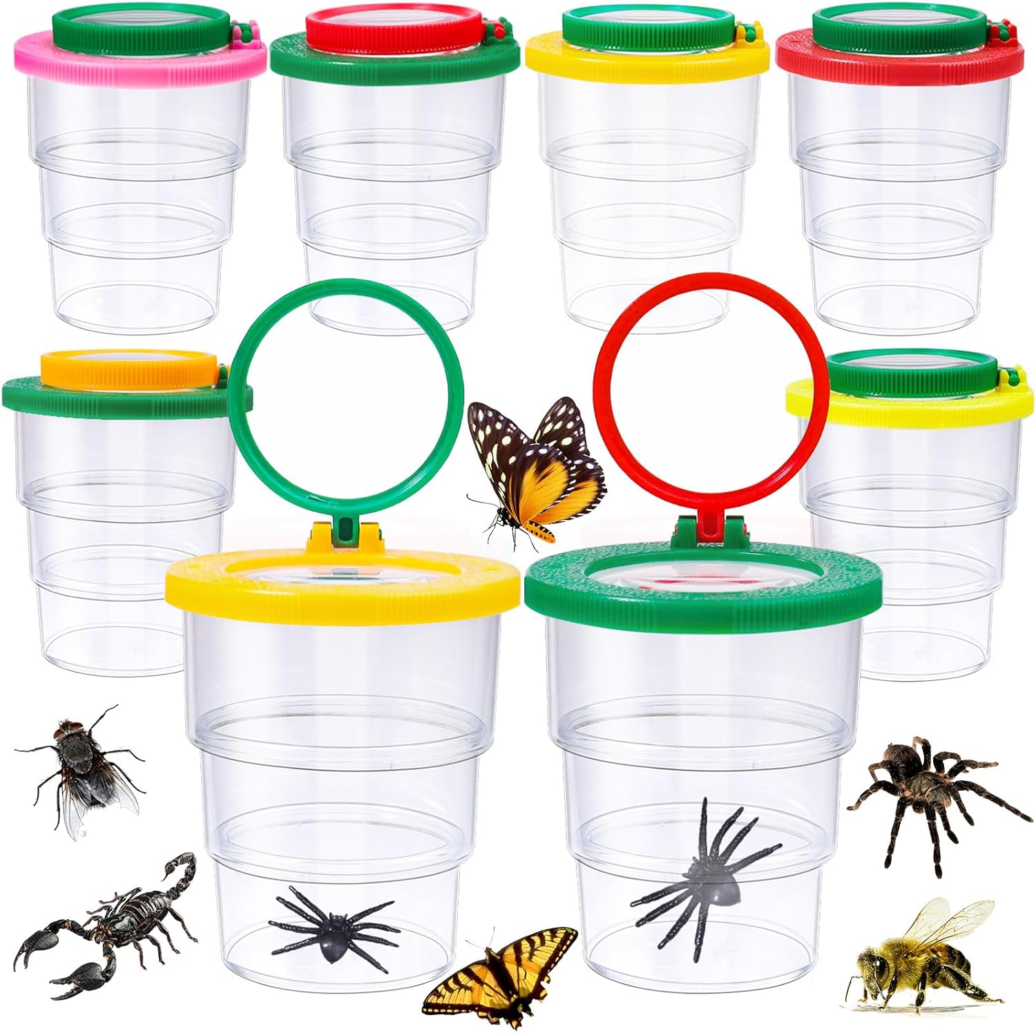 Amazon.com: Insert Bug Viewer 6Pcs, Magnifying Insect Box Bug Catcher ...