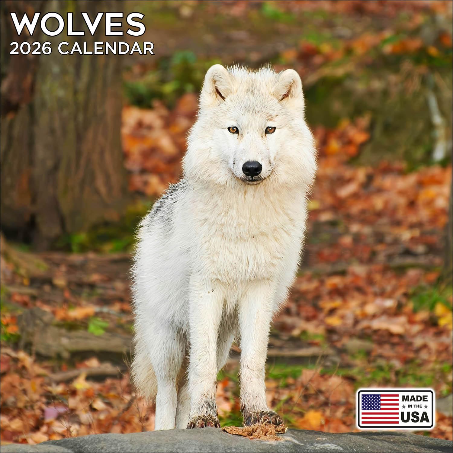 Snapklik.com : 2026 Wolves Calendar - Dog Breed Wall Calendar - 12 X 24 ...