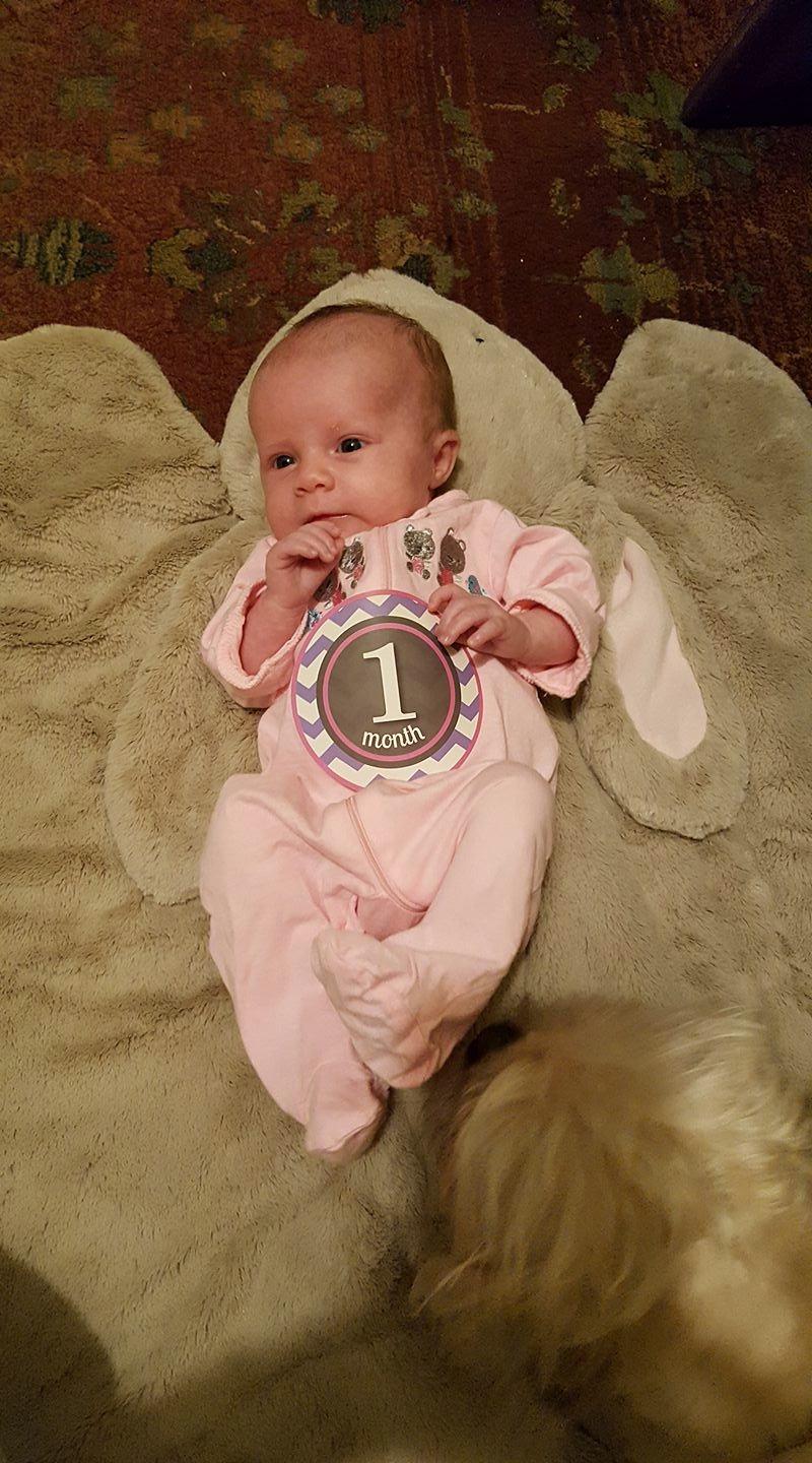 Amazon.com: Sticky Bellies Baby Month Stickers - Patterned Princess 1 ...