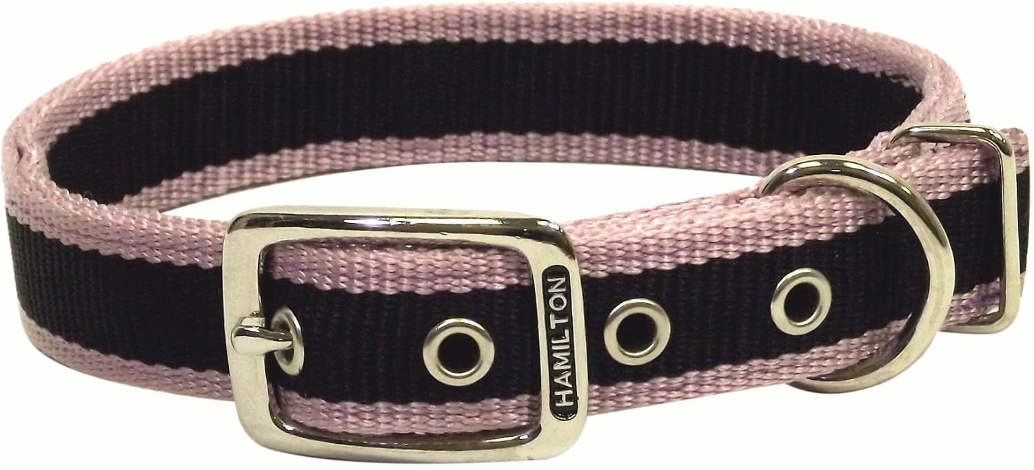 Amazon.com: Hamilton 3-Stripe Double Thick Dog Collar, 1 by 22-Inch ...