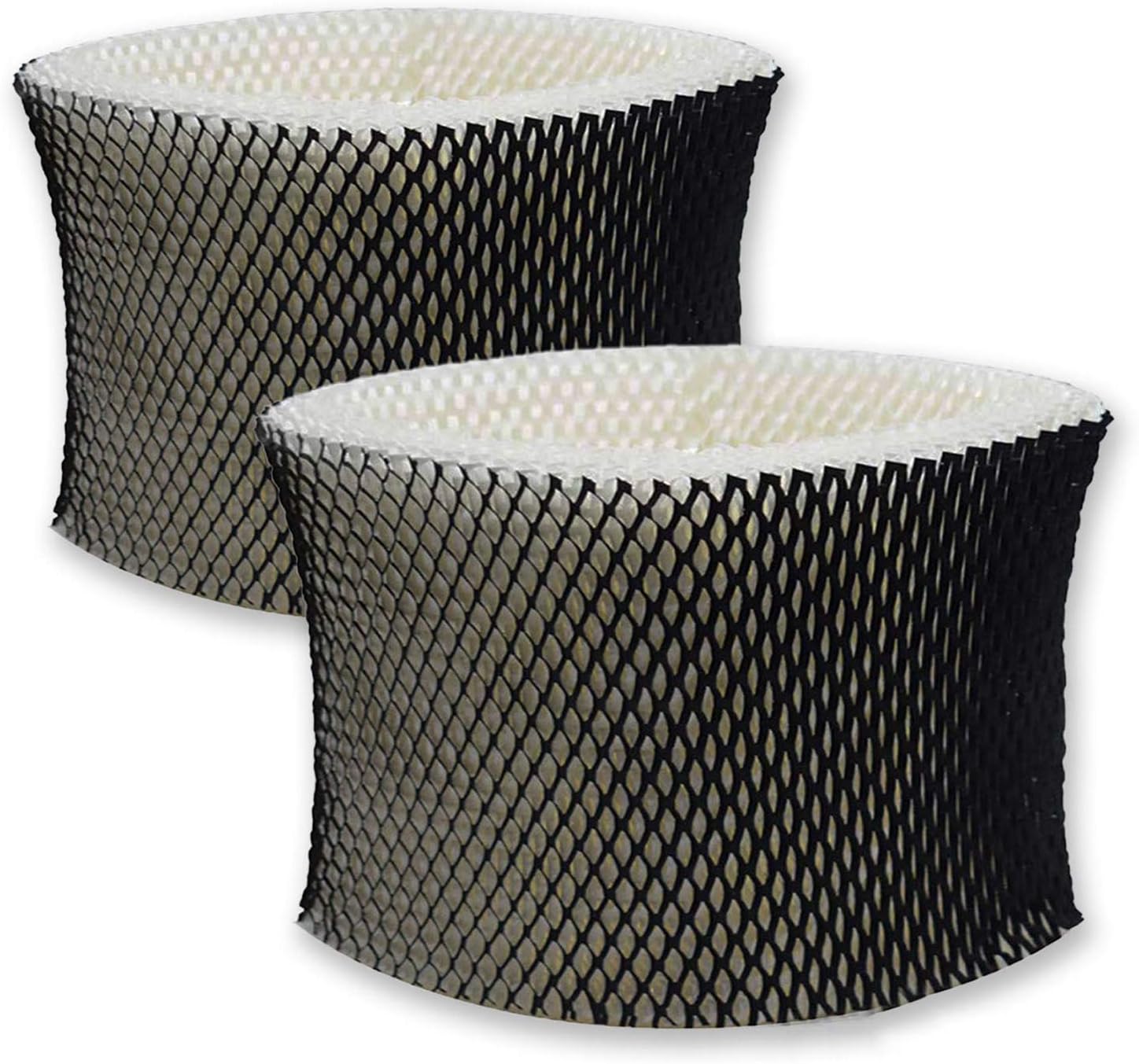 Amazon.com - Air Filter Factory 2-Pack Replacement for Sunbeam SCM1746 ...