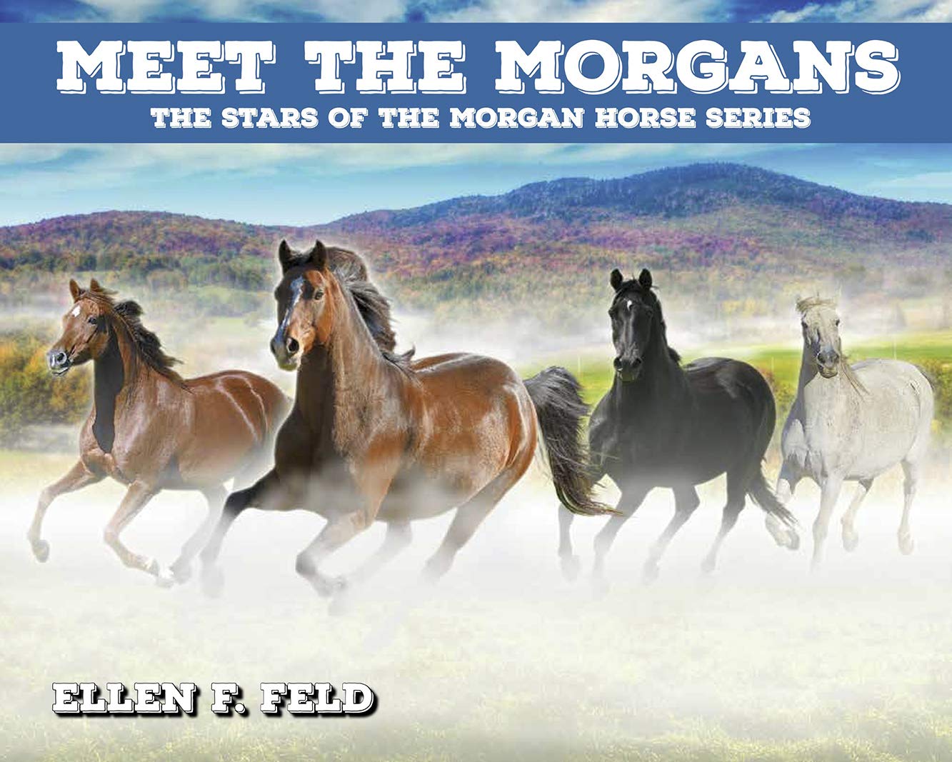 Meet The Morgans: The Stars of the Morgan Horse Series (Morgan Horse ...