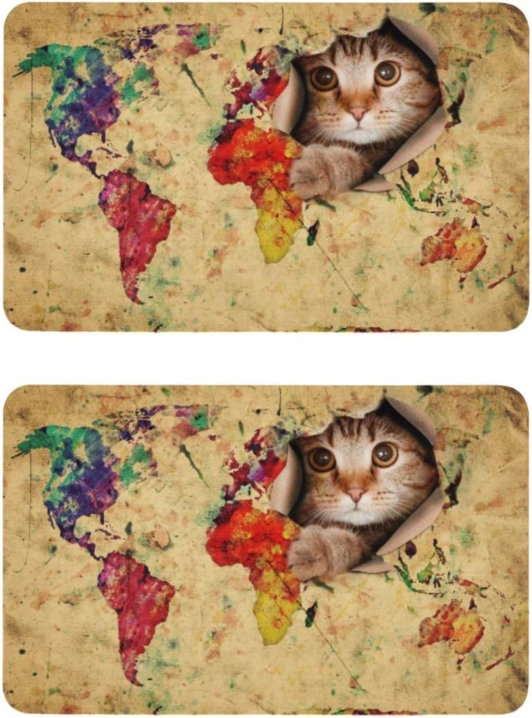 Buy ALAZA World Map Cat Kitten Refrigerator Magnets 2 Piece Decorative ...