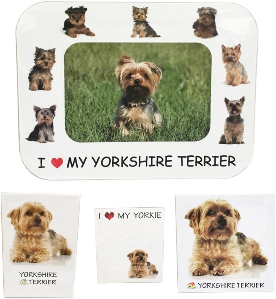 Amazon.com: I Love My Yorkshire Terrier Magnet Set (2 Metal Magnets, 1 ...