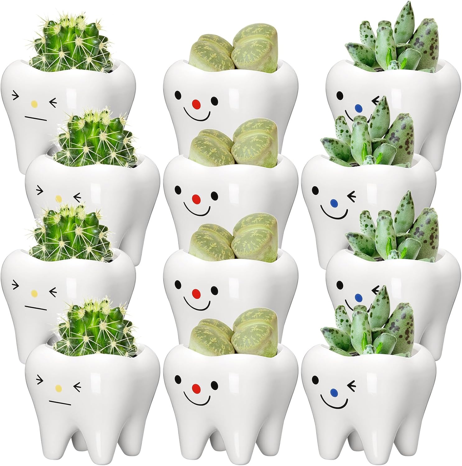 Amazon.com : Yaomiao 12 Pcs Mini Tooth Planter Cute Succulent Plant ...