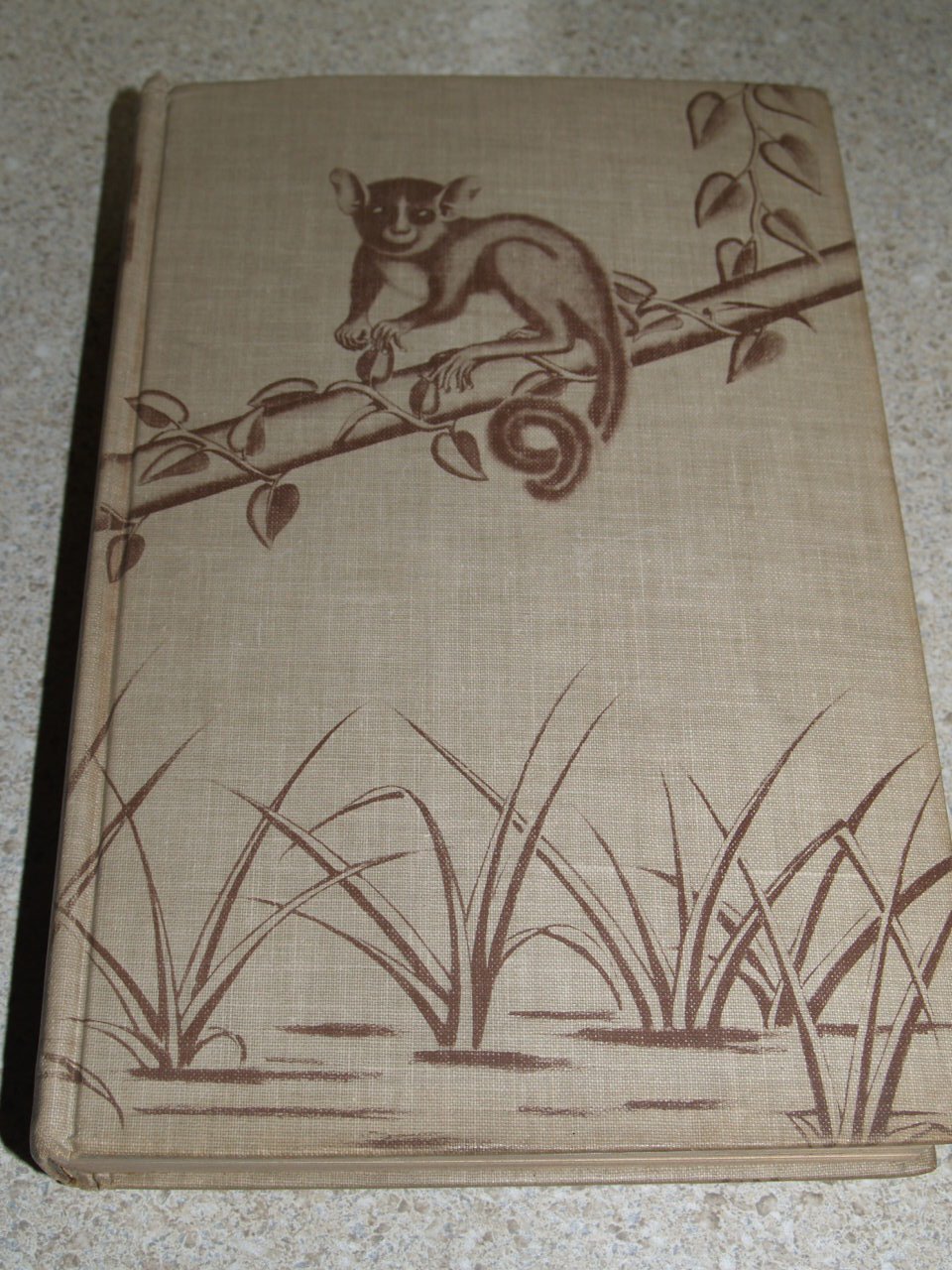 ANIMAL TREASURE. A Naturalist in Search of Strange Creatures.: Ivan ...