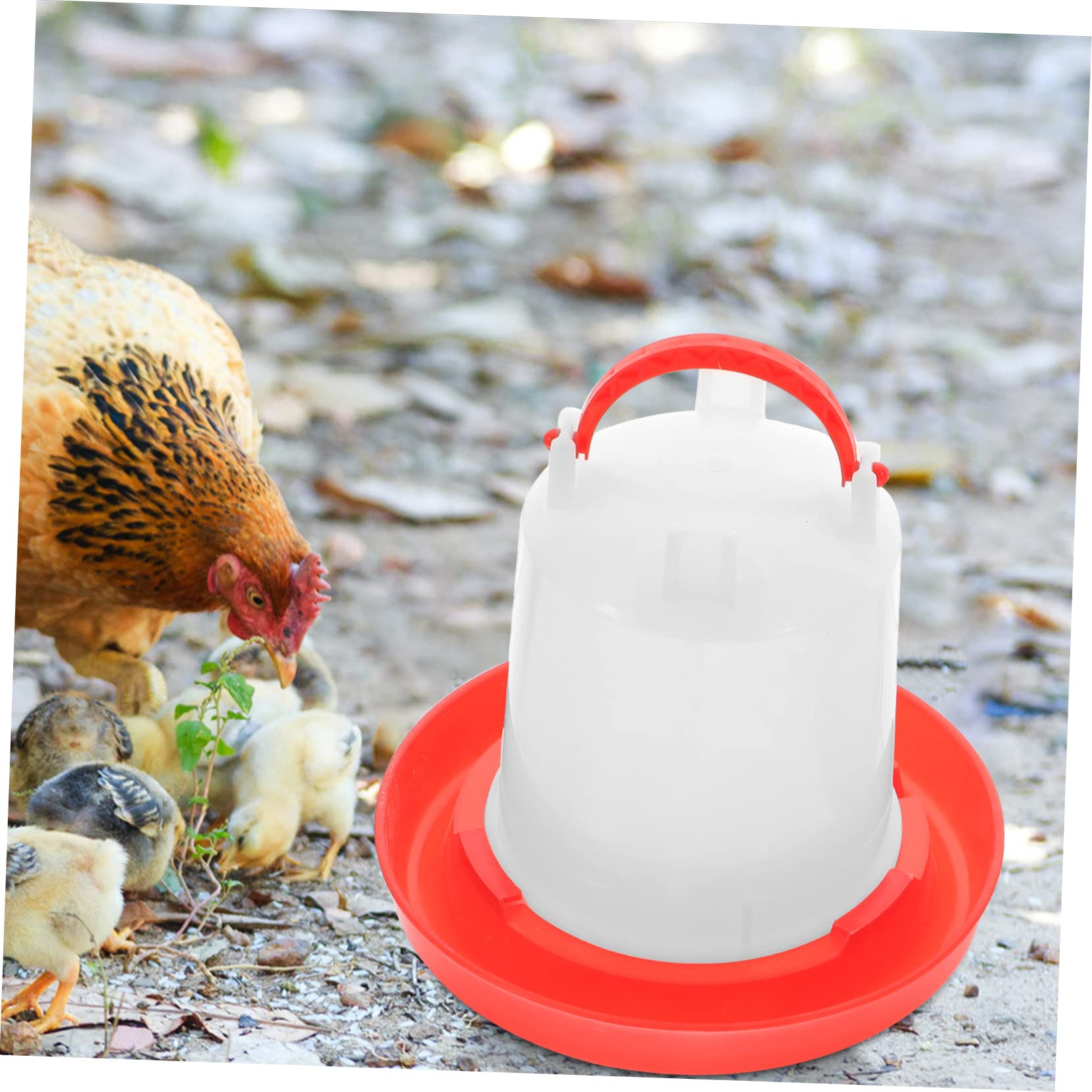 Chicken Feeding Plastic Boxes Find Wholesale Chicken Feed Containers