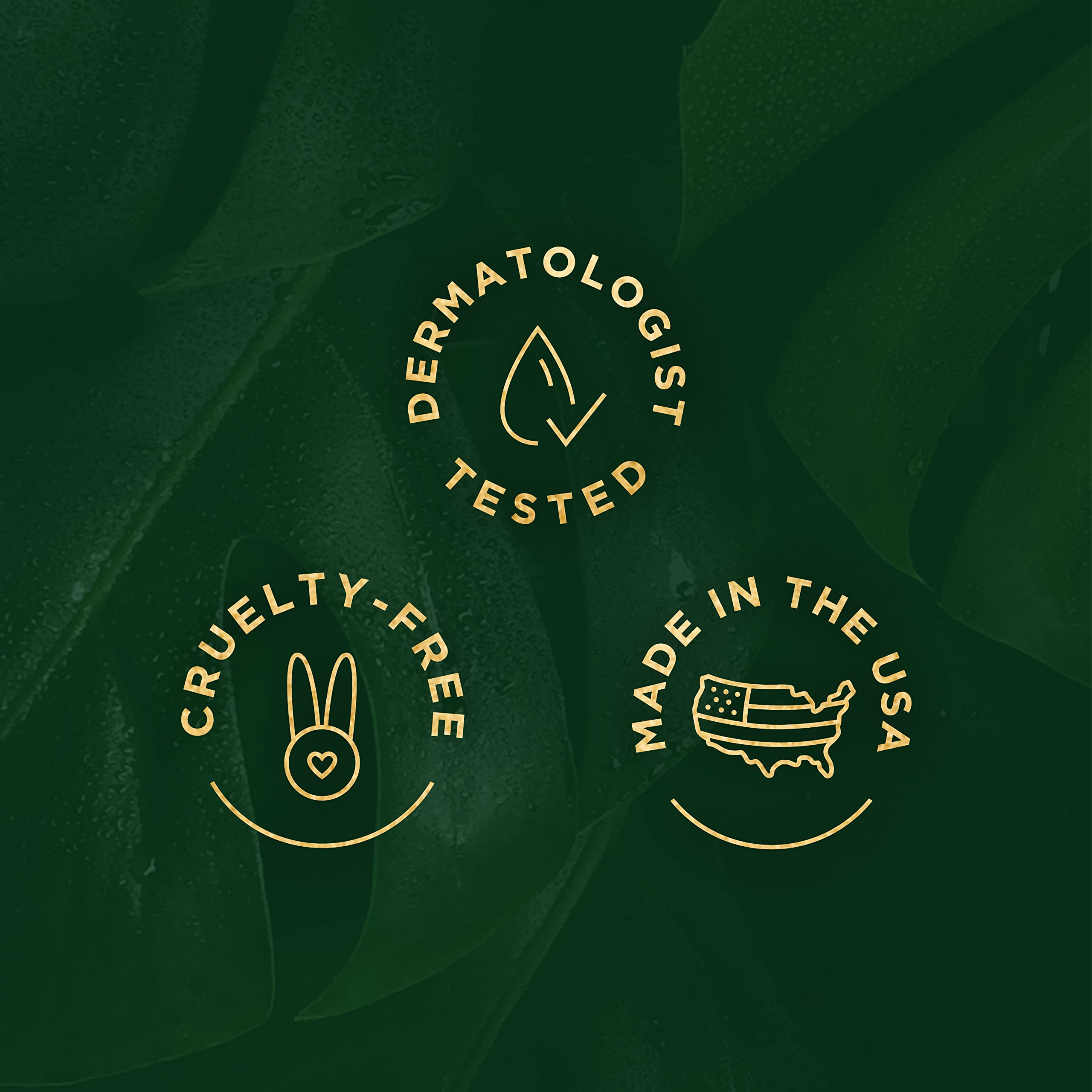 Snapklik.com : Tree Of Life Vitamin C And Hyaluronic Acid Facial Serum Duo