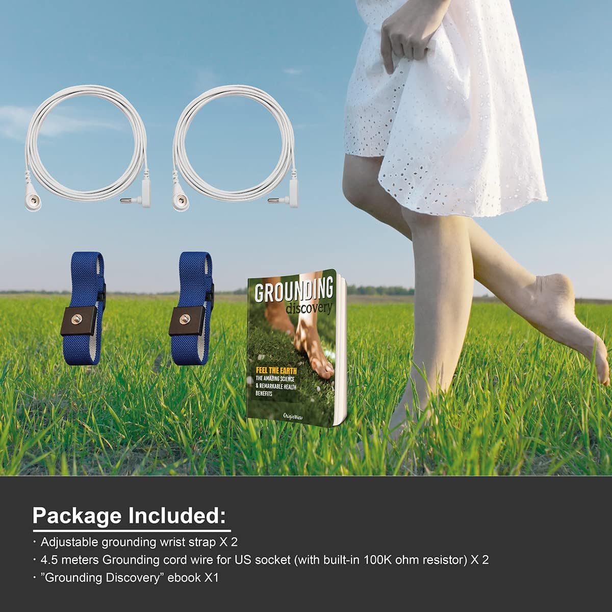 Buy Grounding Wrist Strap X2 with Straight Grounding Cable (4.5m) X2 ...