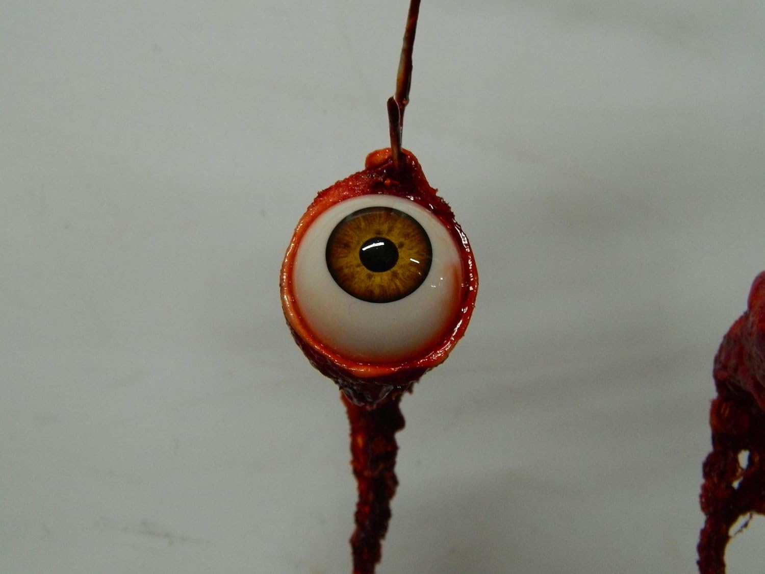 Amazon.com: Dead Head Props Ripped Out Eyeball Hooked Ornament (Brown ...