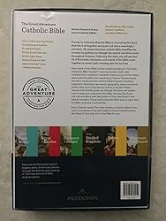Holy Bible: The Great Adventure Catholic Bible: Cavins, Jeff: 9781945179419: Books - Amazon.ca