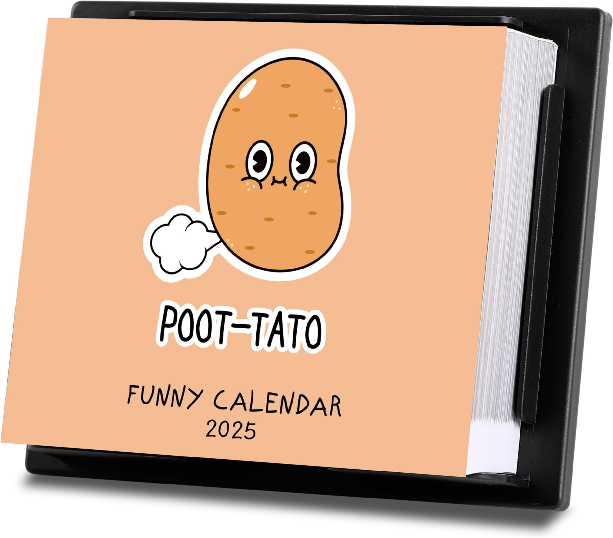 Amazon.com : 2025 Funny Puns Calendar - Daily Calendar 2025 with Funny ...