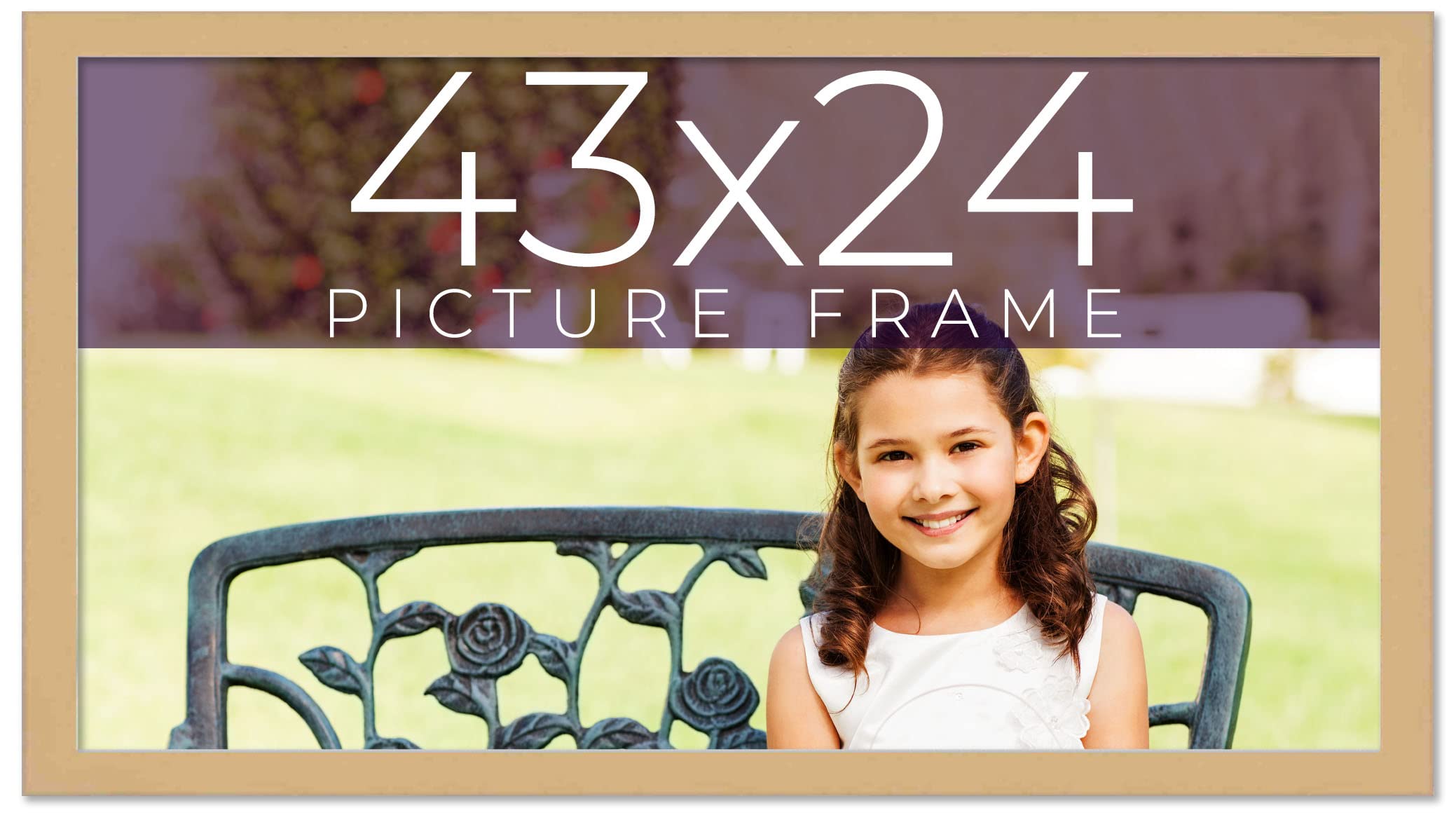 43 X 24 Poster Frame