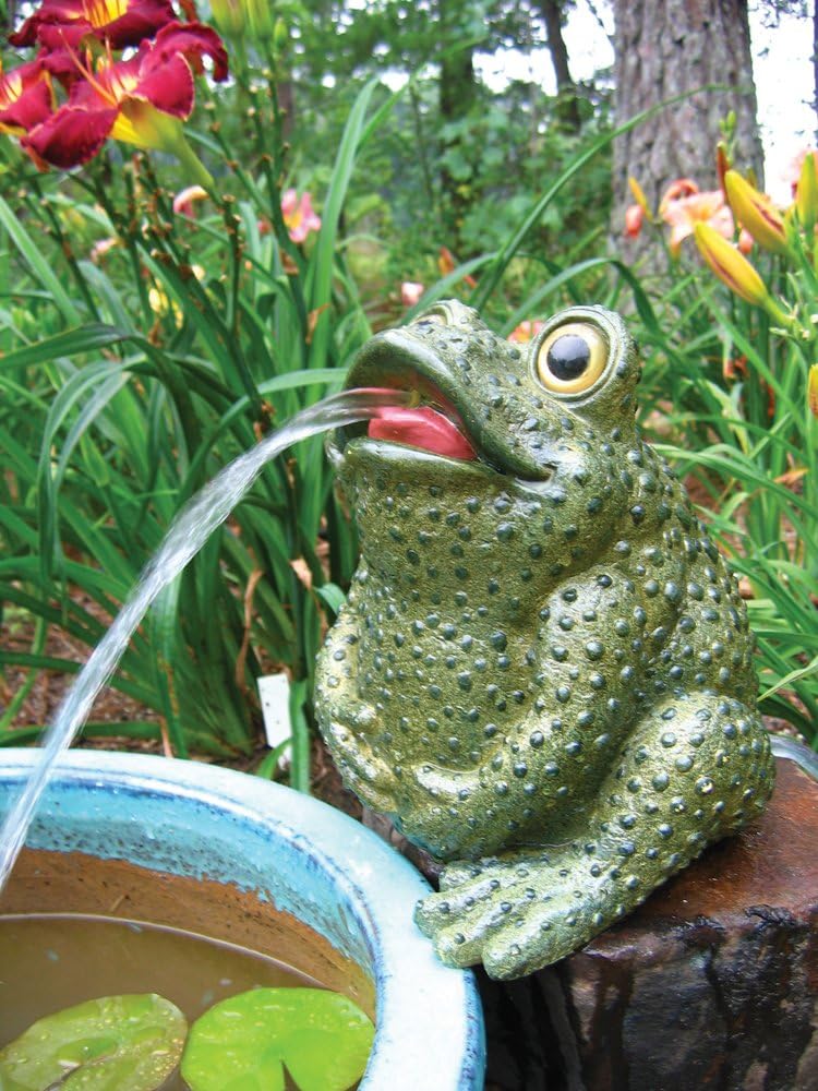 Amazon.com: Michael Carr Fillmore the Frog Pond Spitter Resin Statue ...