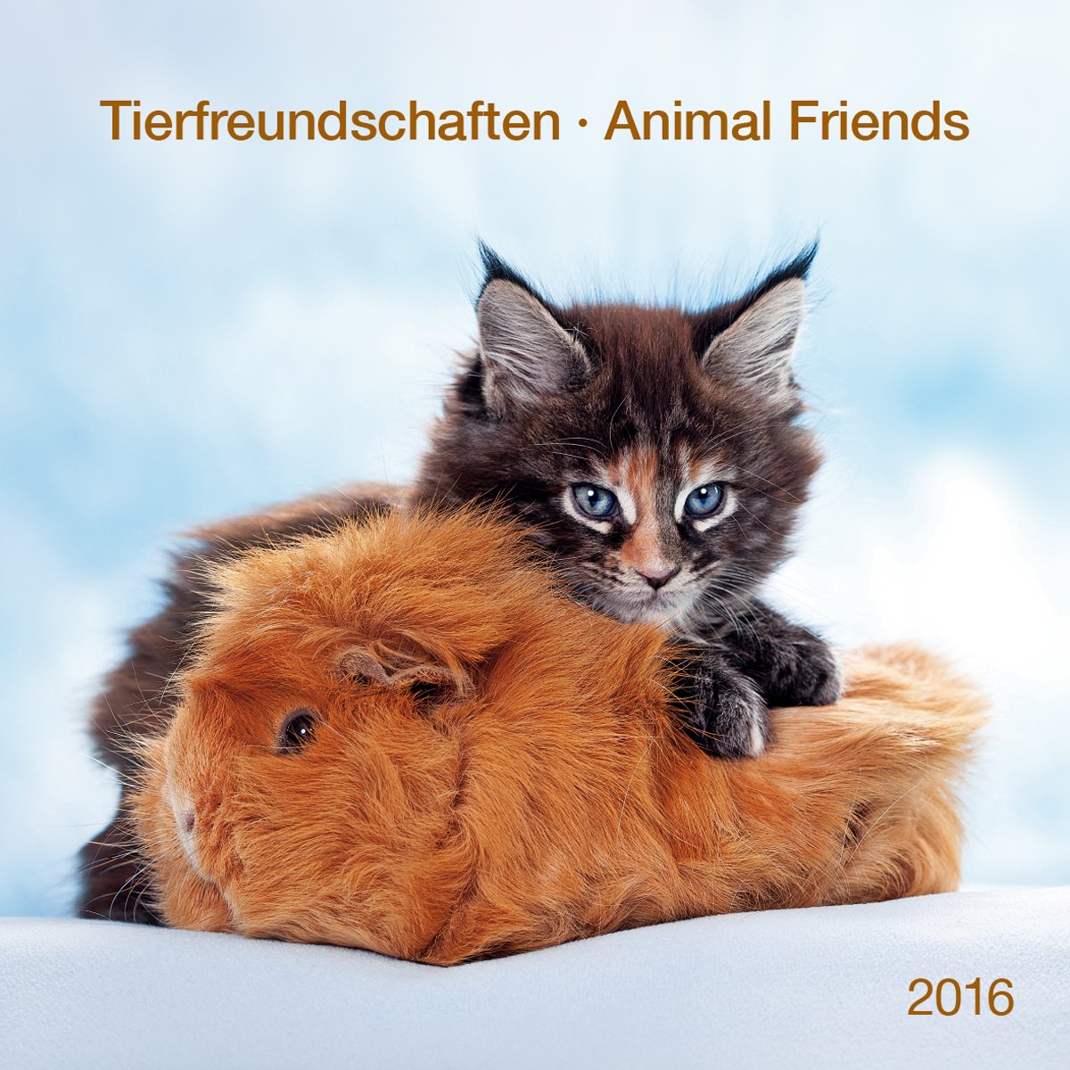 Tierfreundschaften 2016 - Animal Friends - Broschürenkalender (30 x 60 ...