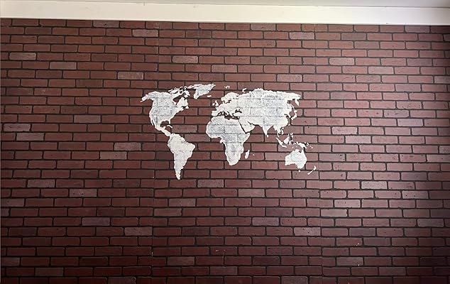 Stencil Revolution Reusable World Map Stencil for Painting on Walls and India | Ubuy