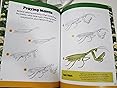 Learn to Draw Insects: Step-by-Step Instructions for 26 Creepy Crawlies ...