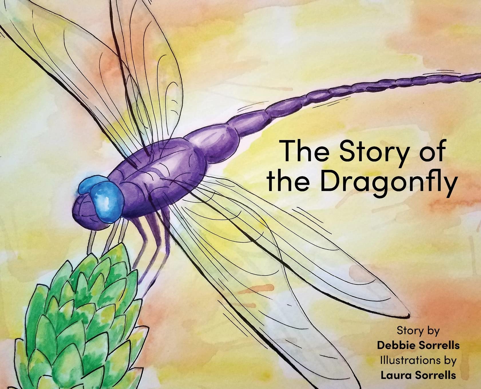 Amazon.com: The Story of the Dragonfly: 9781627204552: Sorrells, Debbie ...