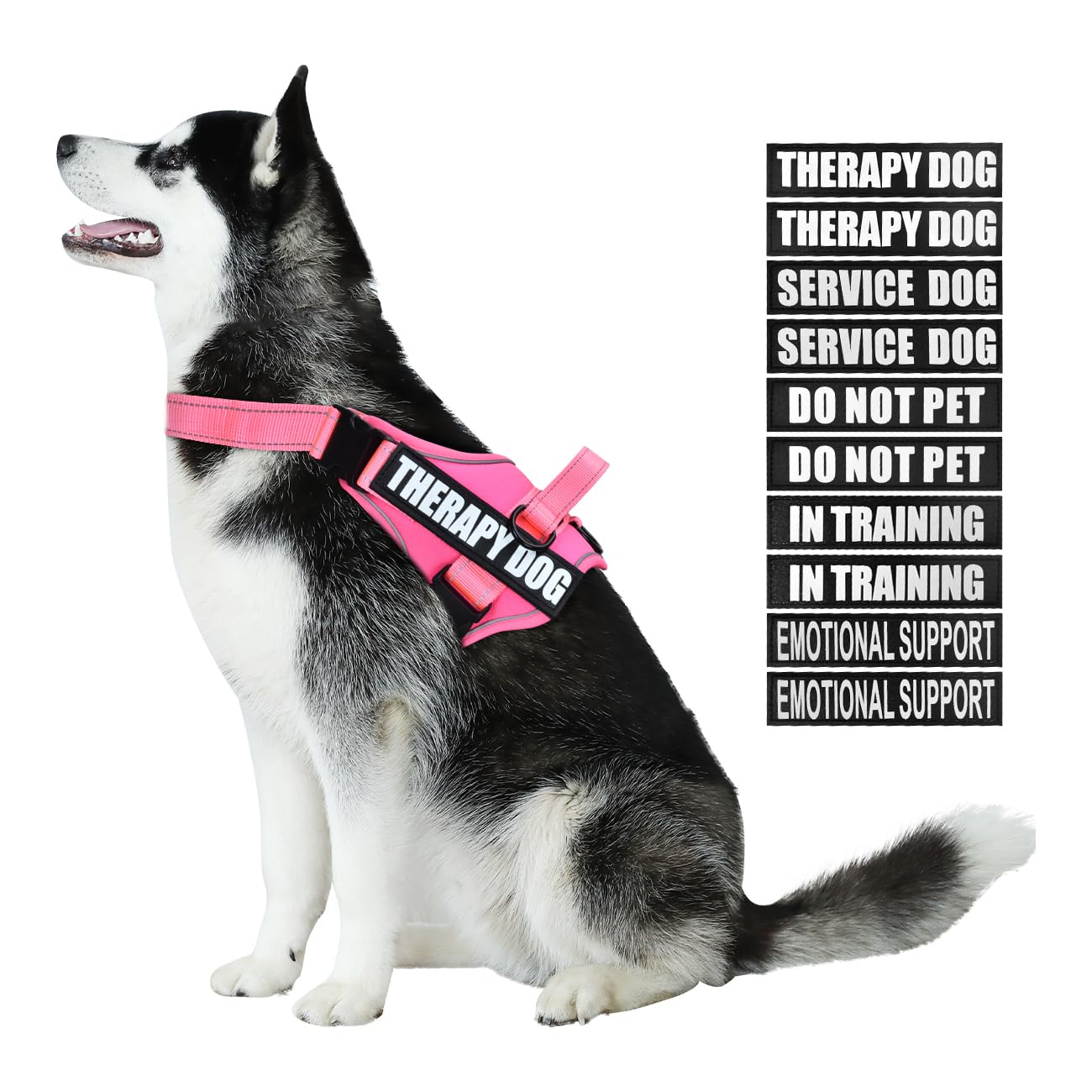 Amazon.com : Therapy Dog Vest and 10 Patches Set, Bestalk Reflective ...