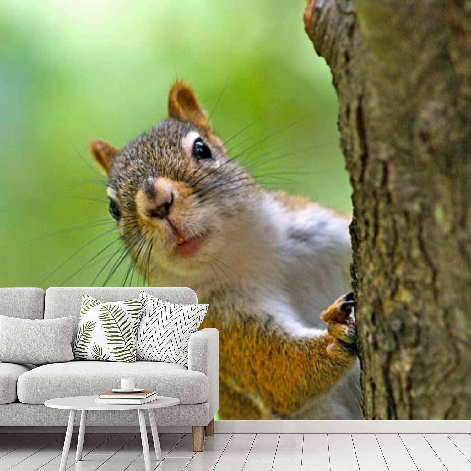 Red Squirrel Wallpaper