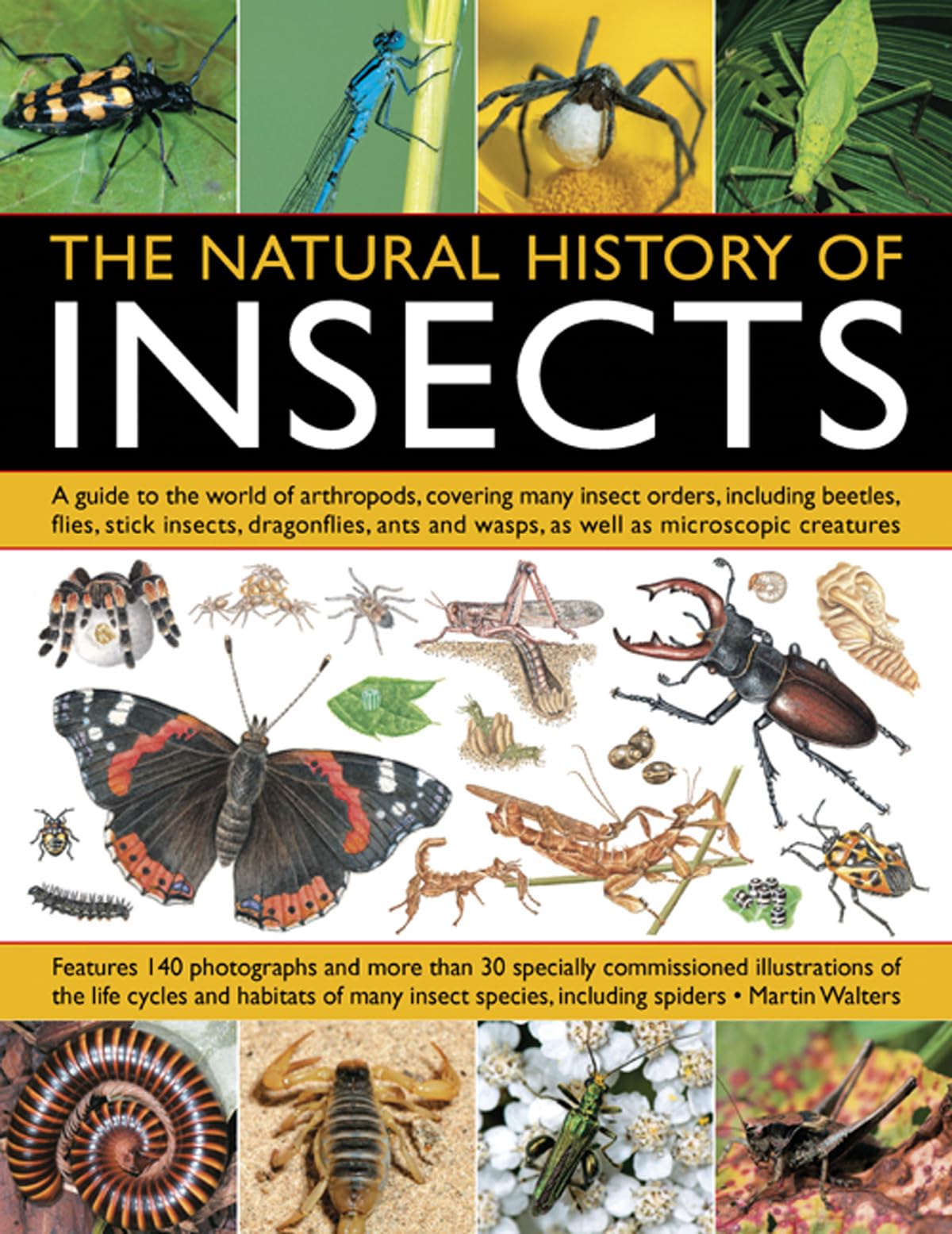 The Natural History Of Insects: A Guide to the World of Arthropods ...