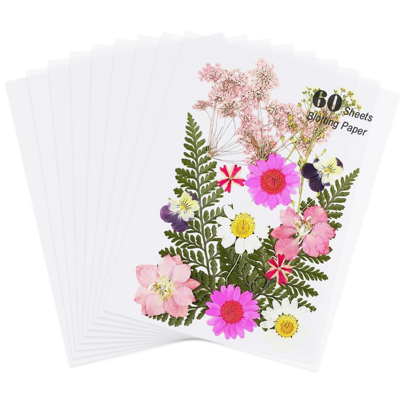 Amazon.com: CenterZ 60 Sheets Blotting Paper for Flower Press, 6 x 8 ...