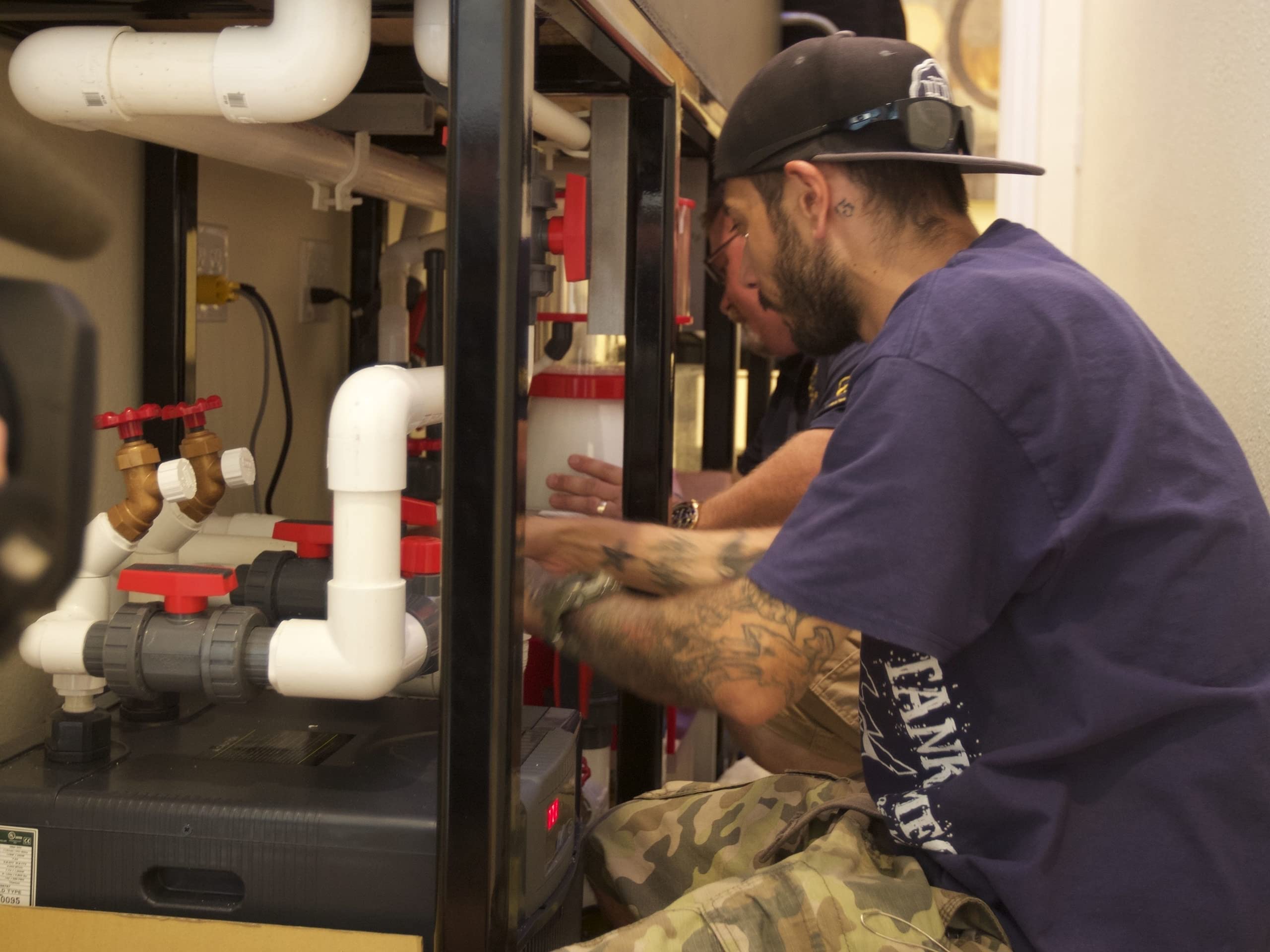 Watch Tanked - Season 6 | Prime Video