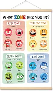 Amazon.com: 16x24" Emotion Management Canvas Poster; Zones Of ...