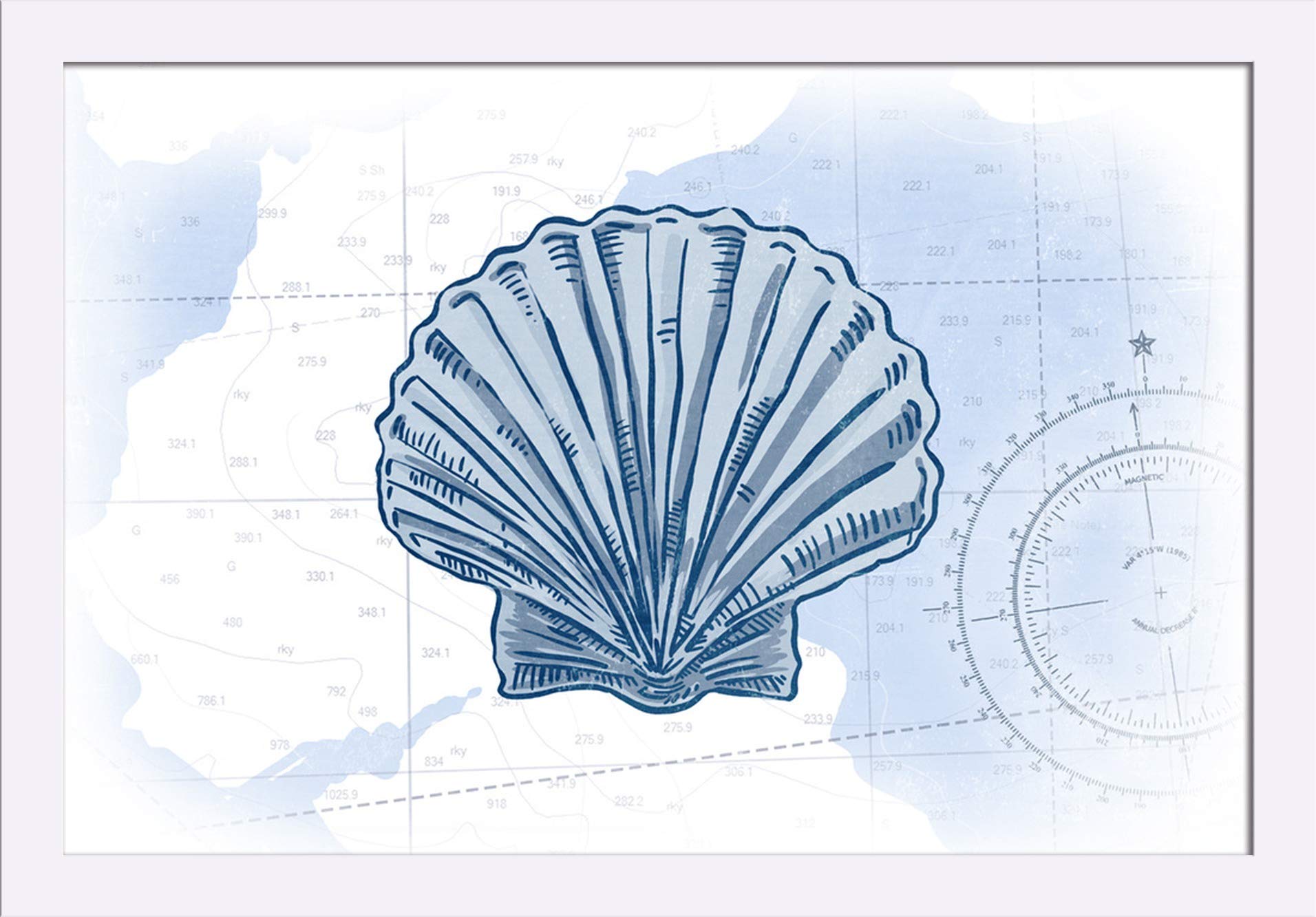 Blue Scallop Shell