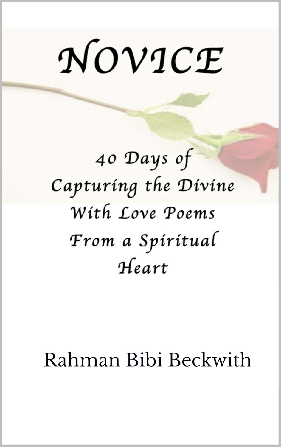 Amazon.com: Novice- 40 Days of Capturing the Divine With Love Poems ...