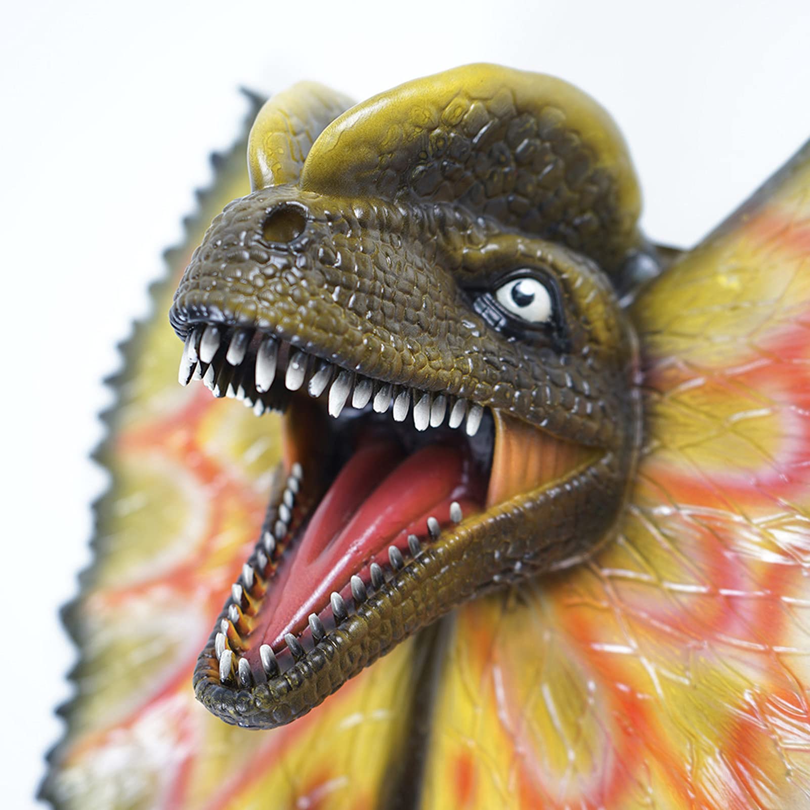 Frilled Dinosaur