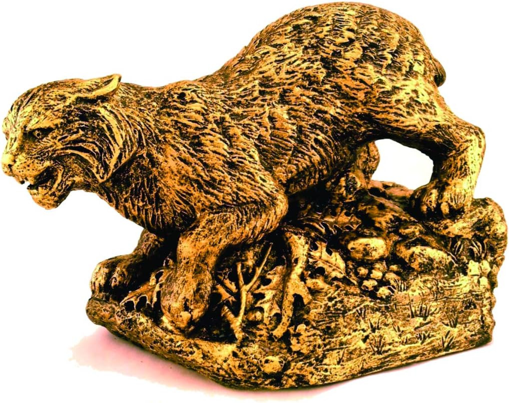 Amazon.com : Bobcat Trophy Sculpture Award Figure Resin : Sports & Outdoors