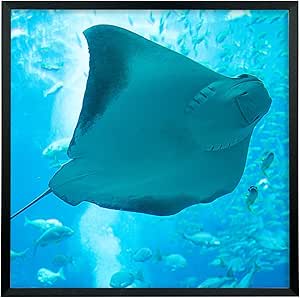 Amazon.com - Mxtallup 23x23 Picture Frames Solid Wood 23x23 Poster ...