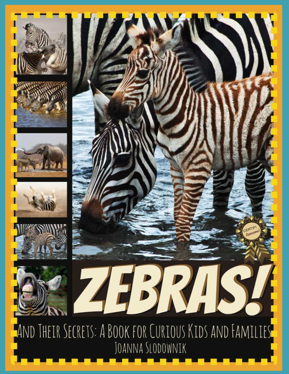 Zoobooks Zebras #fyp #tiktok #horses #animals #nature #prehistoric