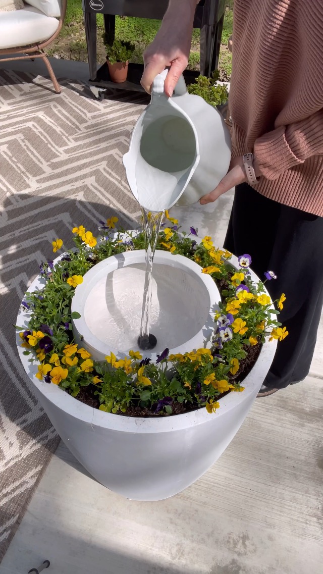 Watch DIY Solar Fountain with Flowers on Amazon Live