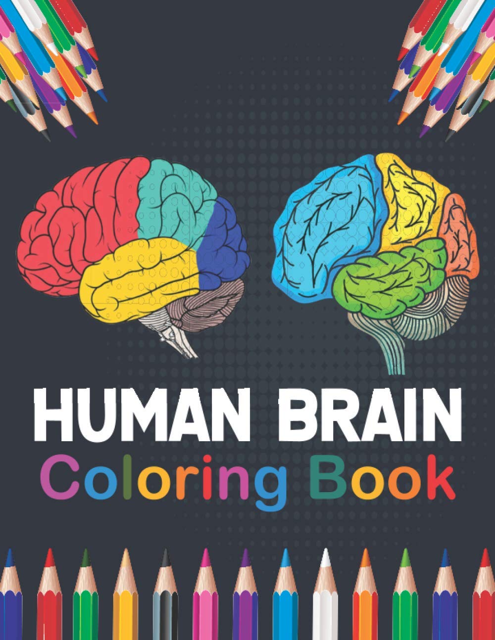 Buy Human Brain Coloring Book Human Body Anatomy Coloring Book For
