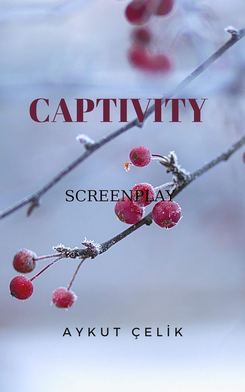 CAPTIVITY: SCREENPLAY (English Edition) eBook : ÇELİK, AYKUT: Amazon.es ...
