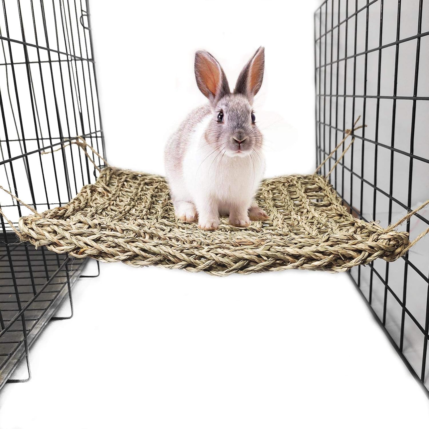 Amazon.com : kathson Rabbit Hammock Swing 15.7 x 15.7 inch Rabbit ...