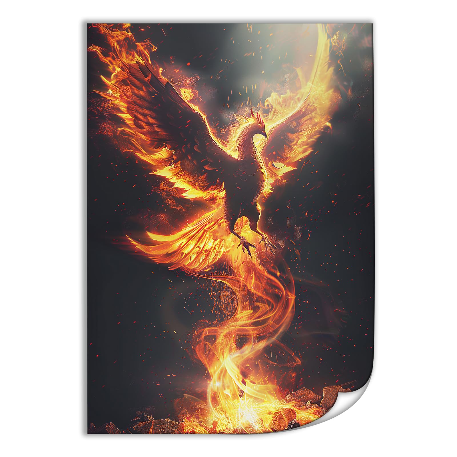 Amazon.com: Cool Flamebird Fantasy Rebirth Bird Phoenix Rising Poster ...