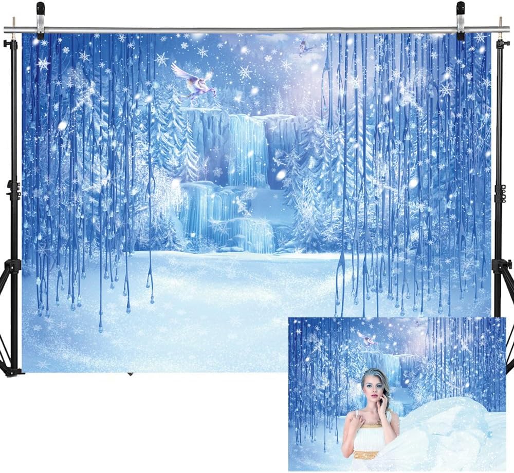 Amazon.com : DHXXSC 8X6FT Winter Backdrop Wonderland Scene Photography ...