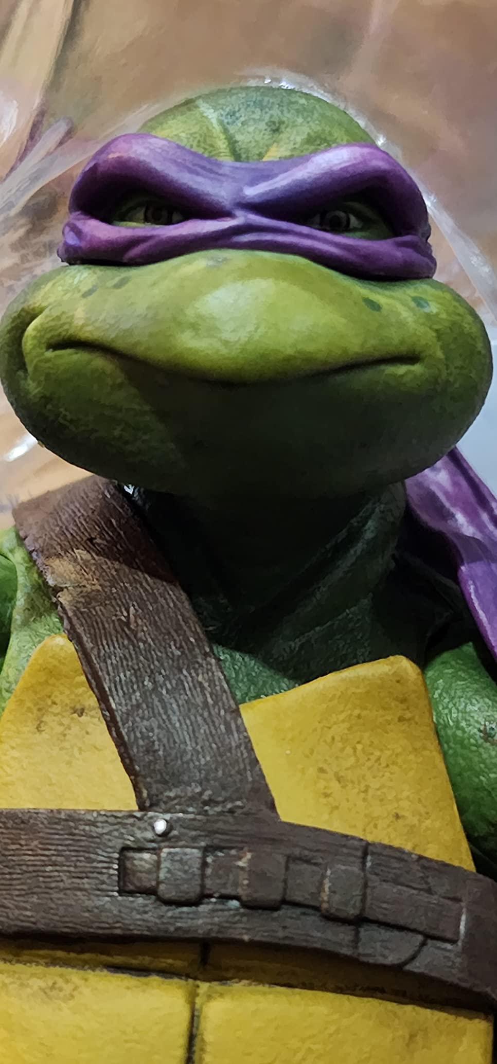 $11/mo - Finance NECA TMNT Donnie Collectible Action Figure - Acrylic ...