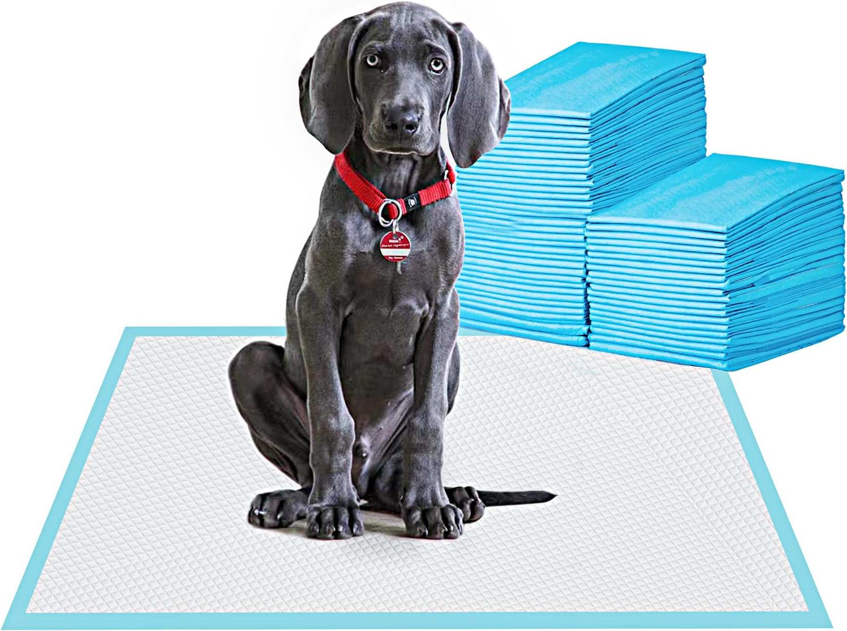 Amazon.com: BESTLE Large Pet Training and Puppy Pads Pee Pad for Dogs ...