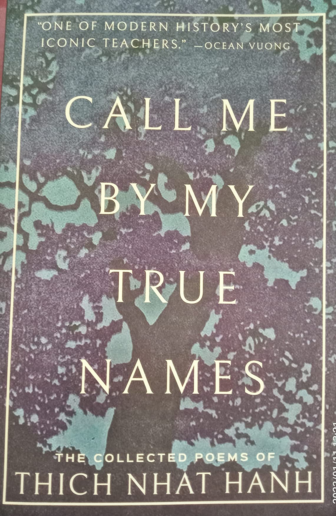 Buy Call Me by My True Names: The Collected Poems of Thich Nhat Hanh ...