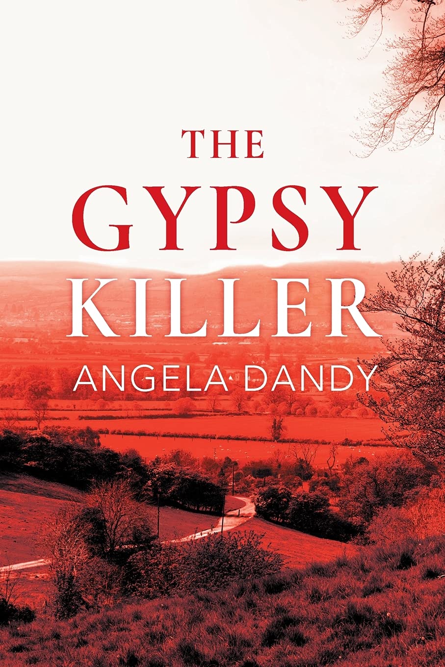 The Gypsy Killer: Amazon.co.uk: Dandy, Angela: 9781800421103: Books