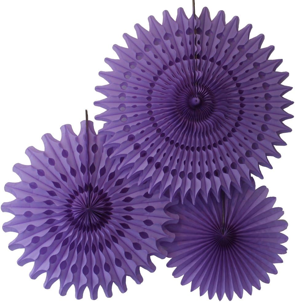 Amazon.com: Set of 3 Tissue Paper Fans, Maroon (13-21 Inch) : Home ...